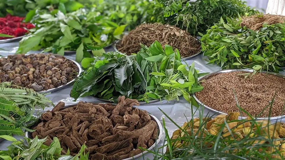 Gallery - Suwasetha Helaosu